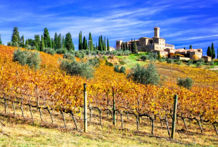 Wine Tourism In Italy a Winning Sinergy - Soleto Travel